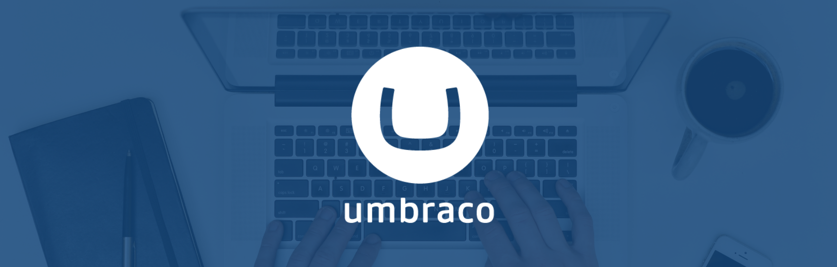 Utilizing Umbracos Api Controller For Custom Web Development Marcel Digital