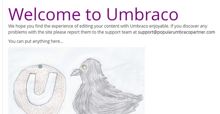 5 Best Umbraco CRM Packages and Integrations For Your Business | Marcel ...