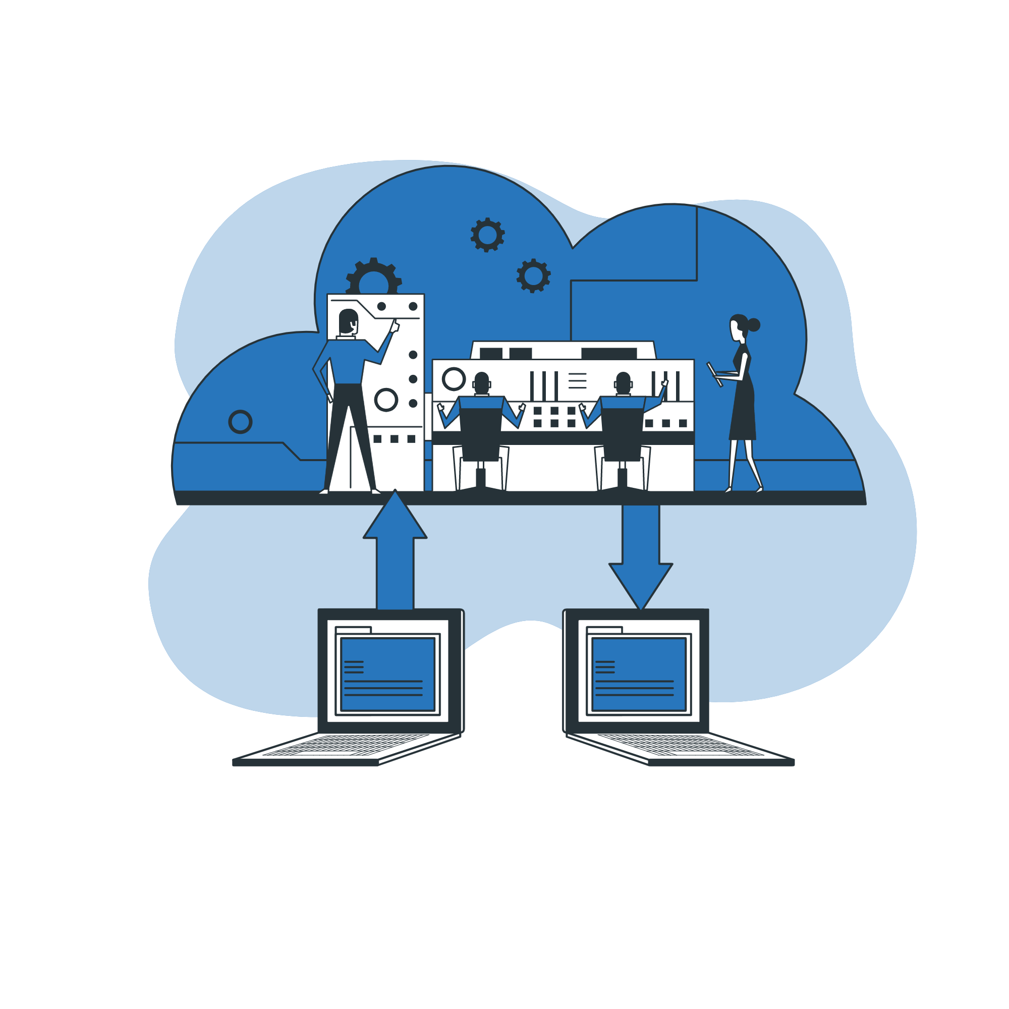 Professional Website Migration Services | Marcel Digital