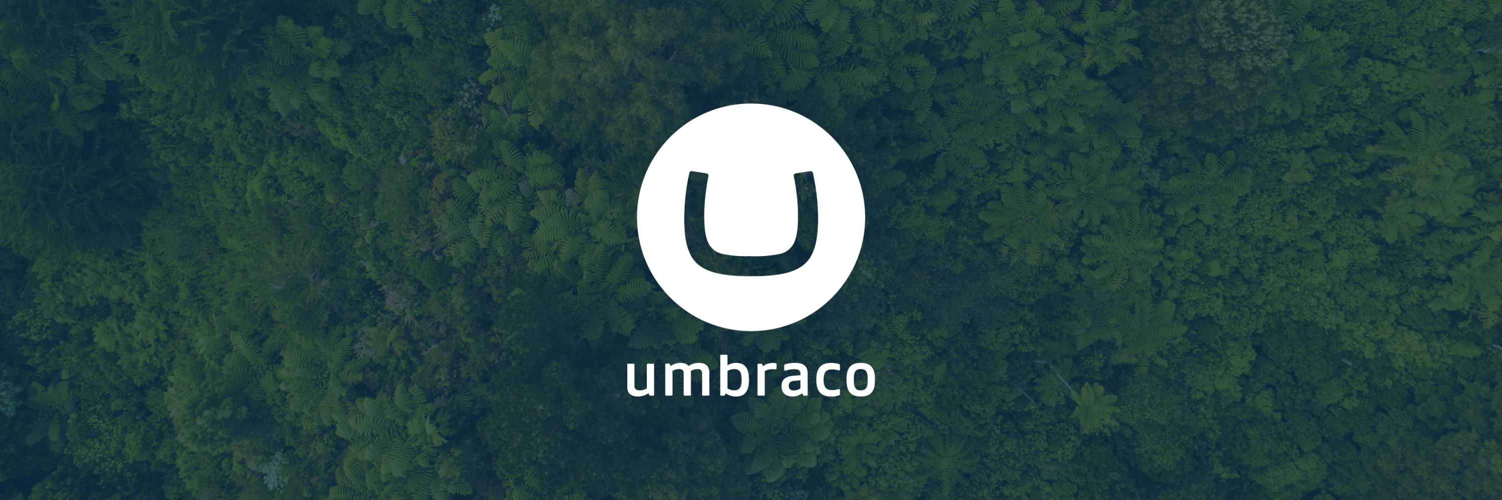 Creating a Sustainable Web Design with Umbraco | Marcel Digital